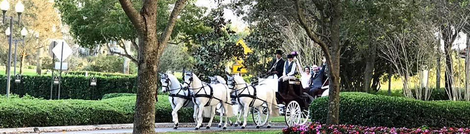 Wedding and Events Venue Plantation | Jacaranda Country Club